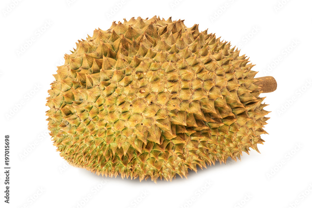 Durian Stock Photo Adobe Stock