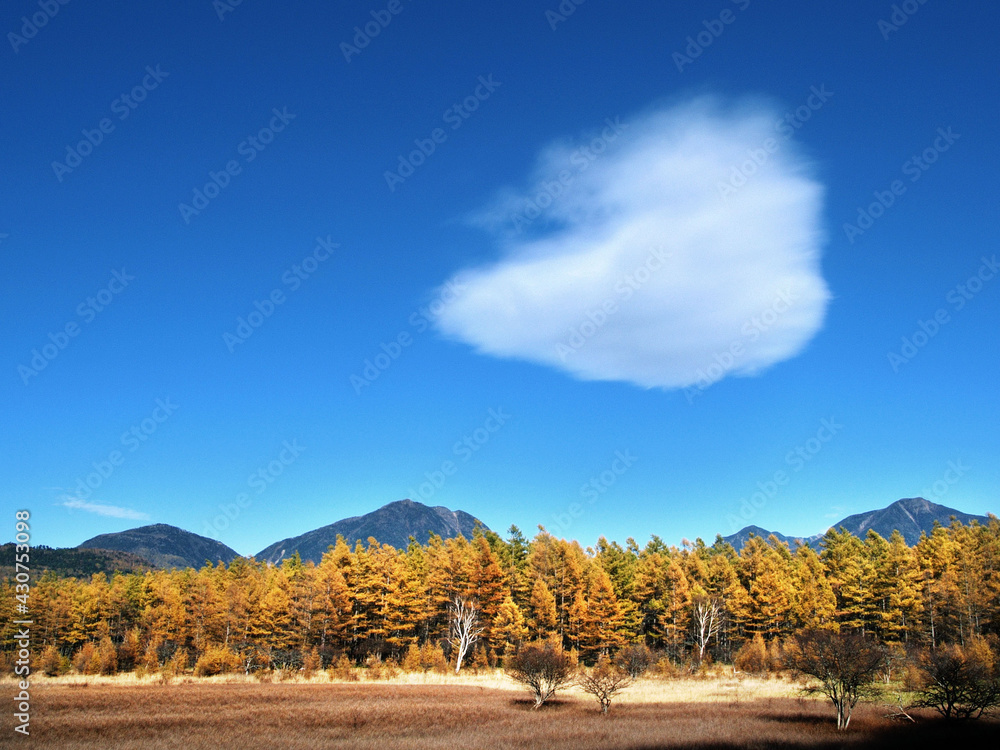 日光小田代ヶ原の晩秋の風景 Stock Photo Adobe Stock
