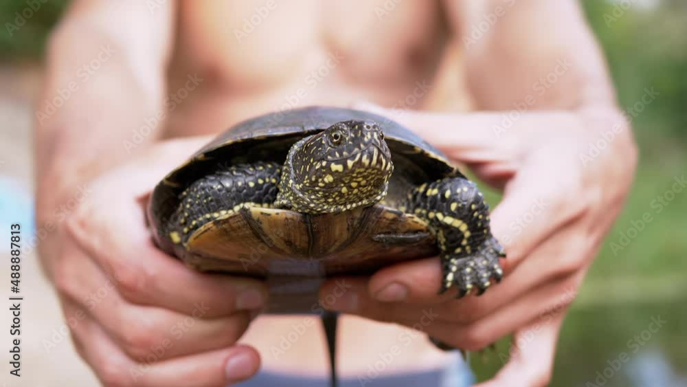 Naked Male Standing By River Holding A Pond Turtle In Hands Caught