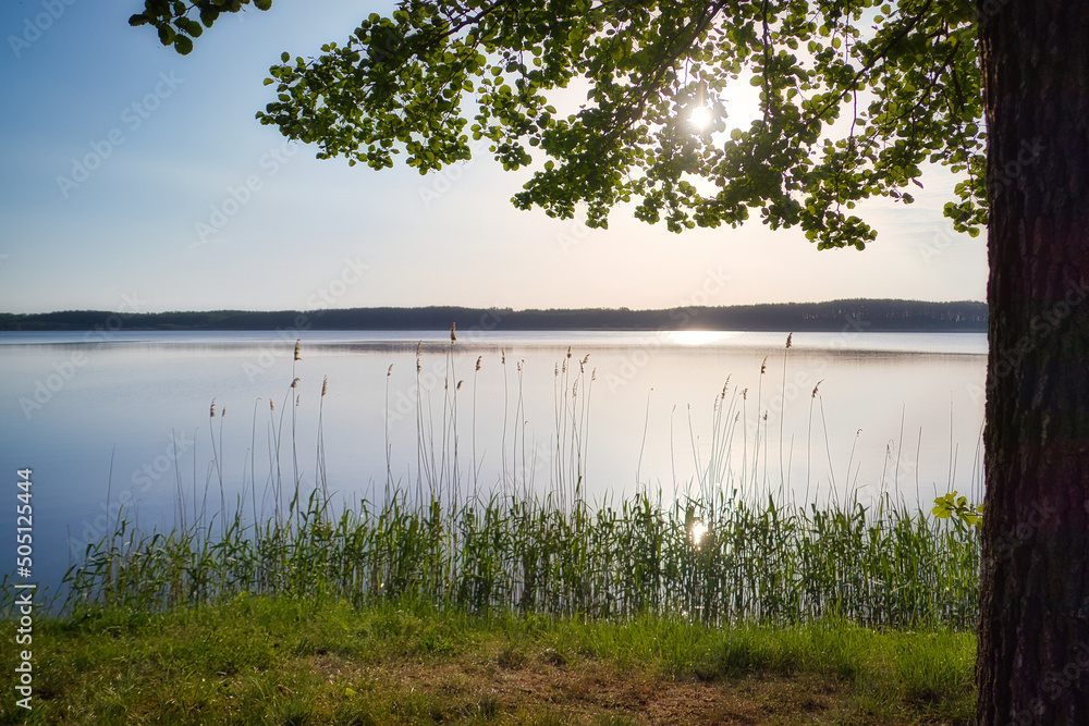 Seelandschaft Am Mellensee Brandenburg Deutschland Teltow