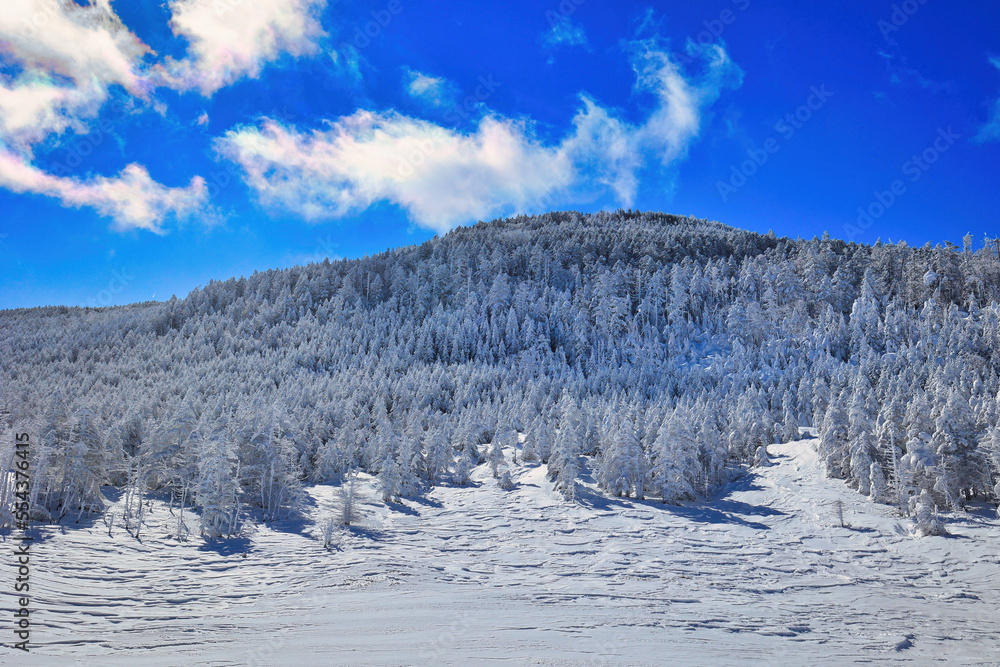 北八ヶ岳の縞枯山荘から眺めた冠雪の縞枯山 Stock Photo Adobe Stock