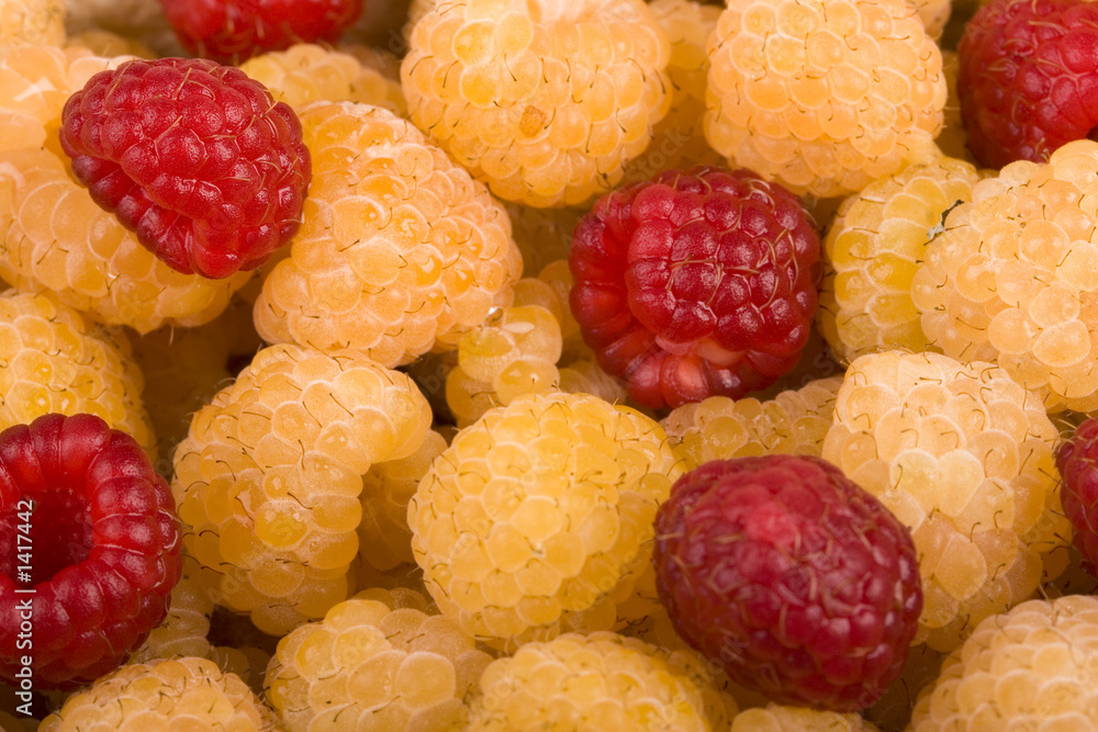 Stock-Foto „raspberries“ | Adobe Stock