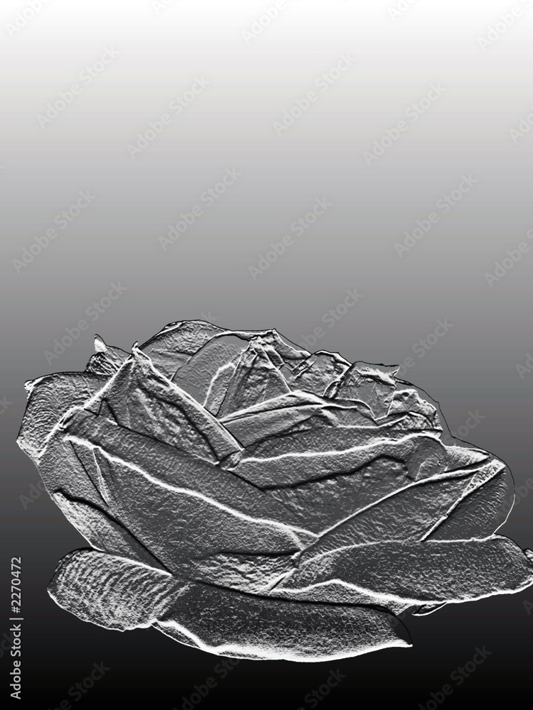 stock photo of silver rose Stock Illustration | Adobe Stock