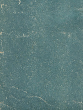 Rotten Letter B Free Stock Photo - Public Domain Pictures