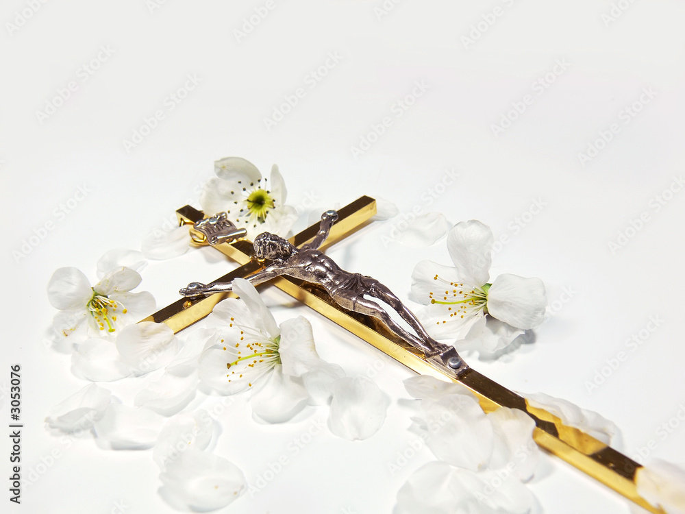 jesus cross and flower white Stock Photo | Adobe Stock