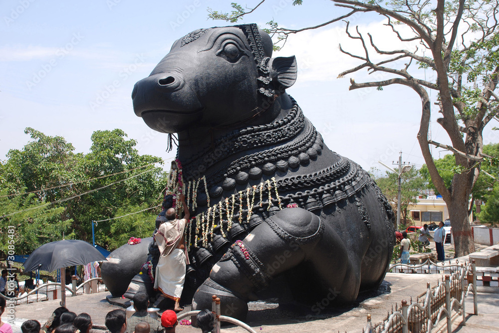 nandi, india, Stock Photo | Adobe Stock