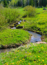Stream In Meadow Free Stock Photo - Public Domain Pictures