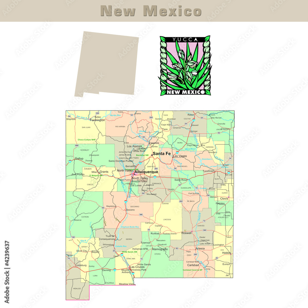 USA states series: New Mexico. Political map with counties Stock ...