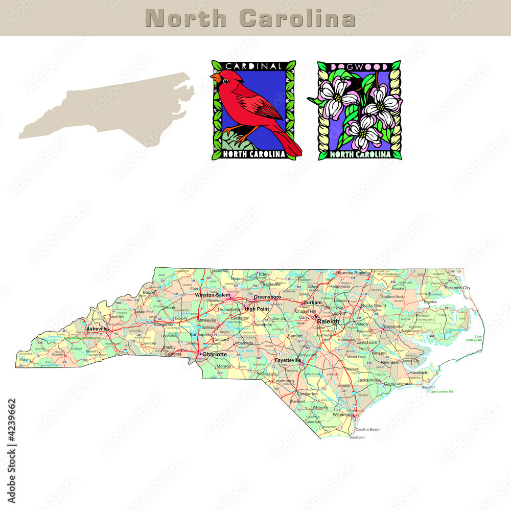 USA states series: North Carolina. Political map with counties Stock ...