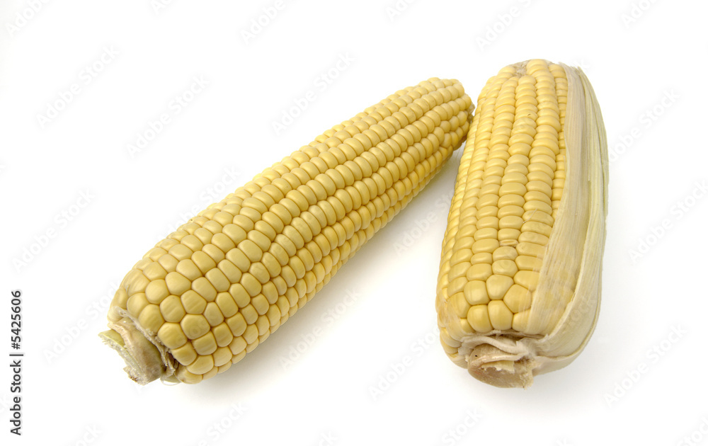 Mazorcas maiz Stock Photo | Adobe Stock