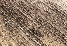 Imprints In Muddy Sludge Free Stock Photo - Public Domain Pictures