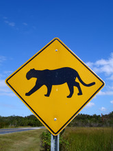 Mountain Lion Crossing Sign Free Stock Photo - Public Domain Pictures