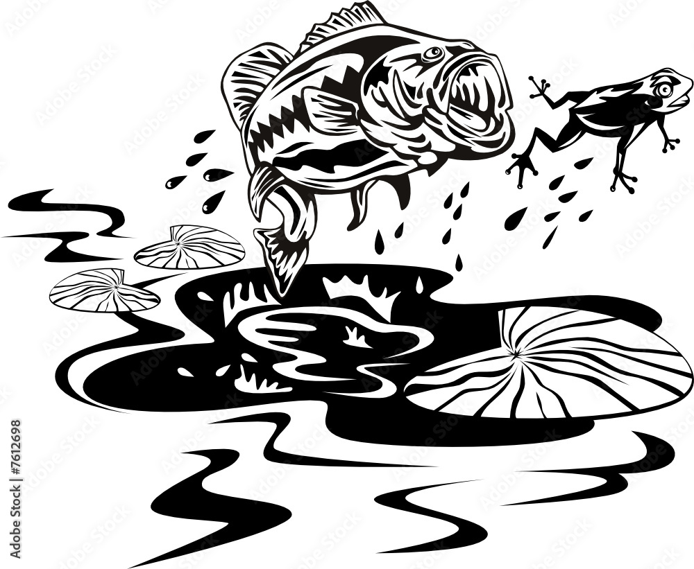 Largemouth Bass Eating Frog