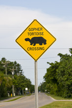 Gopher Tortoise Sign Free Stock Photo - Public Domain Pictures