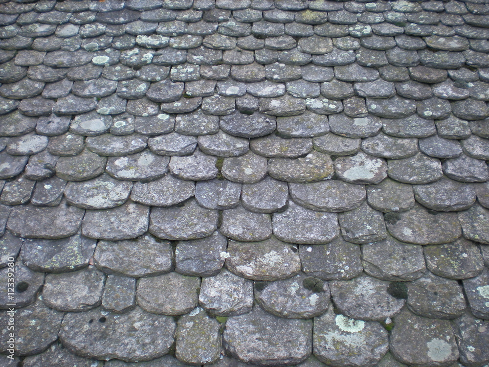 Photo Stock Toit en lauze traditionnelle (Lozère) | Adobe Stock