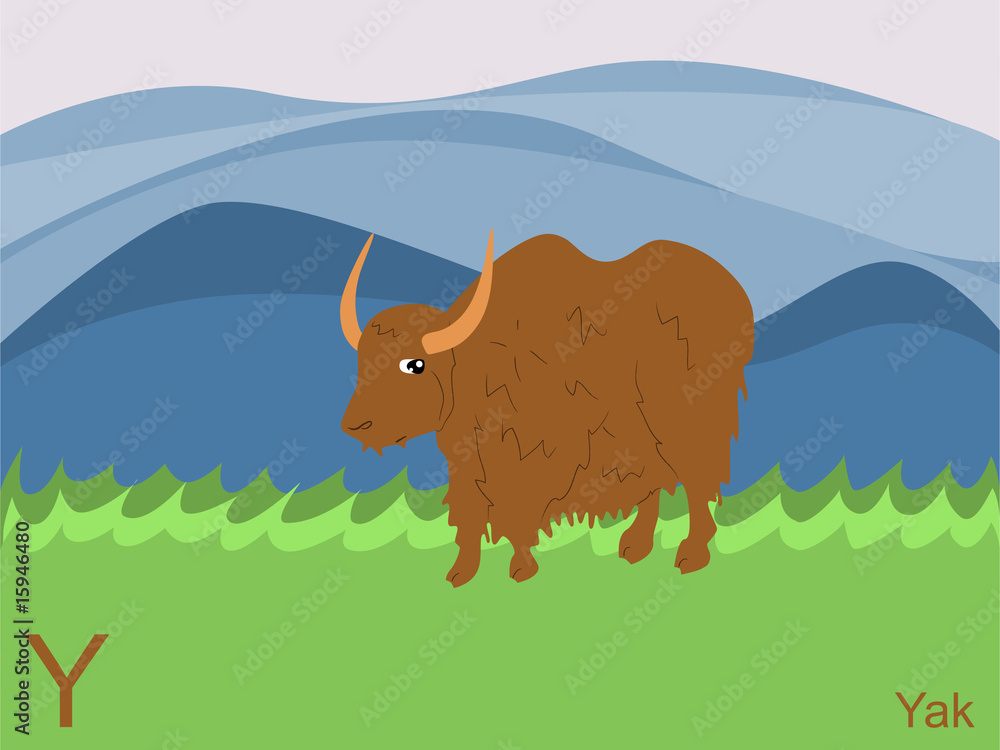Animal alphabet flash card, Y for yak Stock Vector | Adobe Stock