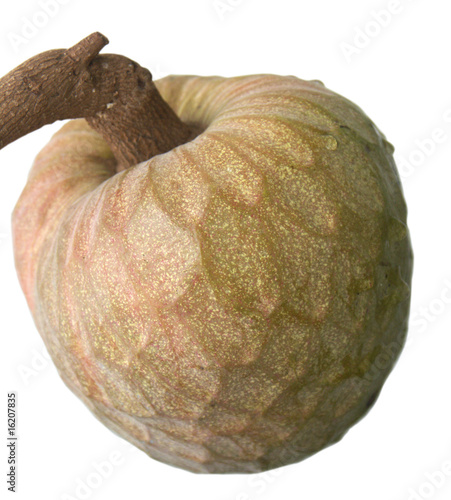 cachiman coeur de boeuf sur fond blanc Stock Photo | Adobe Stock