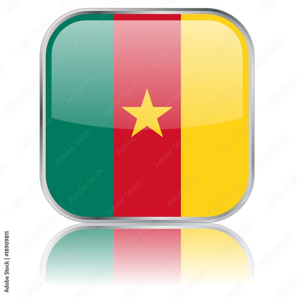 Cameroon Square Flag Button (Cameroun - Vector - Reflection) Stock ...