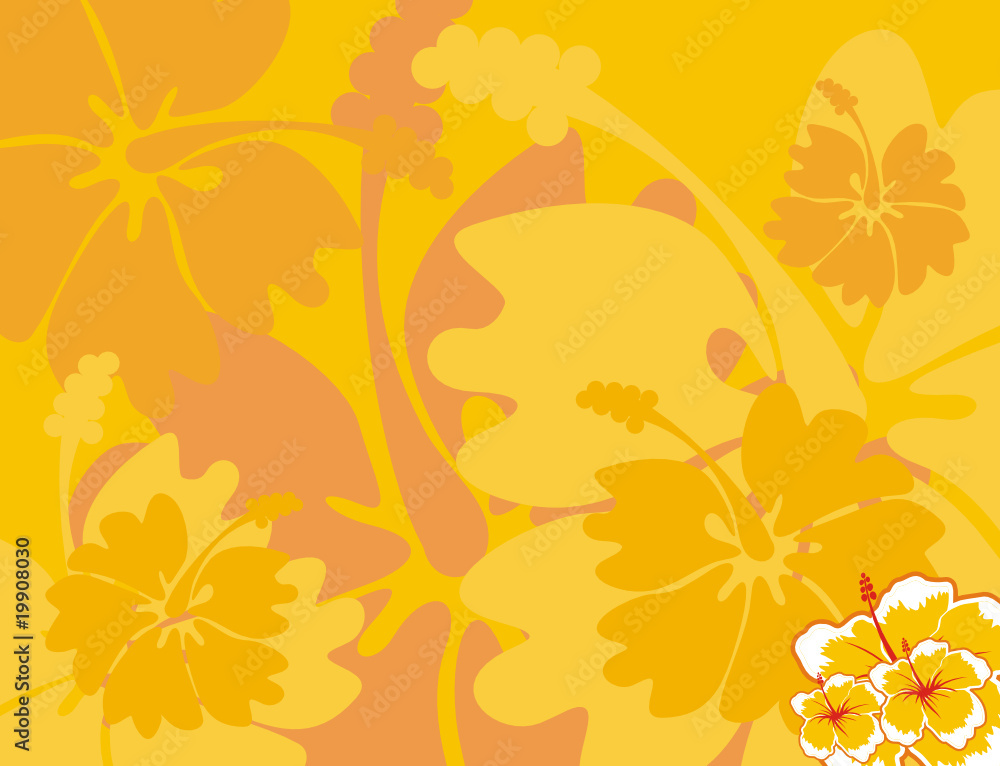 hawaii background Stock Vector | Adobe Stock