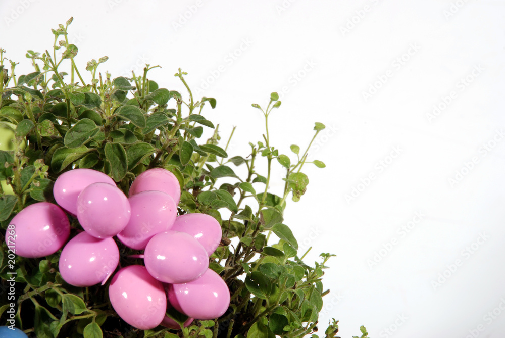 Pinke Eier im Nest Stock Photo | Adobe Stock