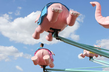 Good Cheer Holiday Elephant Free Stock Photo - Public Domain Pictures