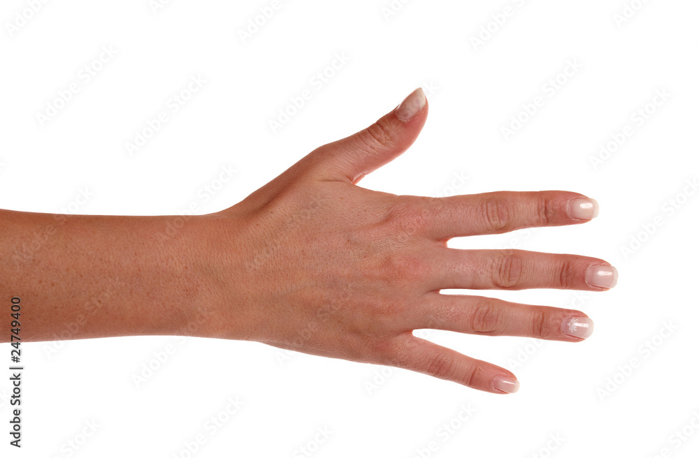 Stock-Foto „Rechte Hand einer Frau“ | Adobe Stock