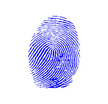 Blue Fingerprint Background Free Stock Photo - Public Domain Pictures
