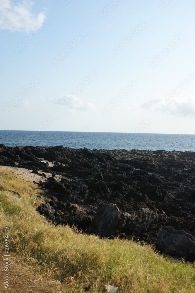 Bord de mer en pierre volcanique près de Saint Leu Stock Photo | Adobe ...