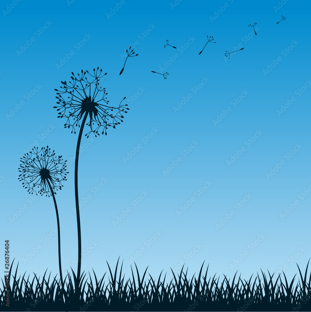 Stock-Vektorgrafik „blaue Pusteblume“ | Adobe Stock