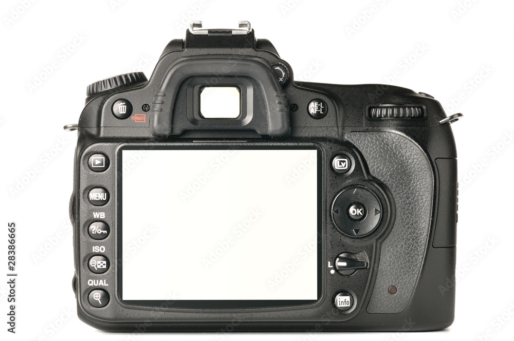 back of a modern DSLR camera, screen is cut with clipping path Stock ...