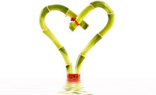 Bamboo Heart Free Stock Photo - Public Domain Pictures