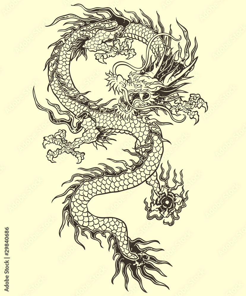 Dragon Vector Stock Vector | Adobe Stock