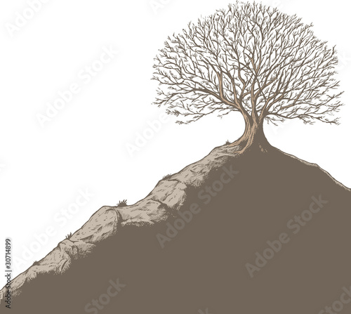 Ink drawing of a tree on a hill. Stock Vector | Adobe Stock