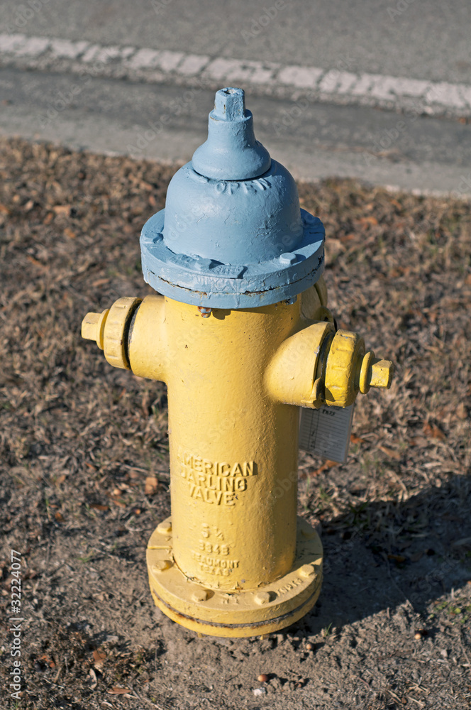 Blue and yellow fire hydrant Stock Photo | Adobe Stock