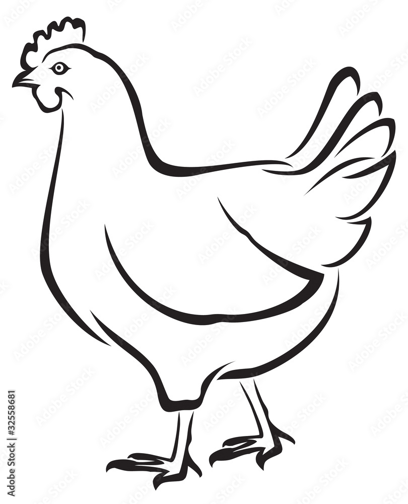 Chicken (Hen) Vector Illustration Stock Vector | Adobe Stock
