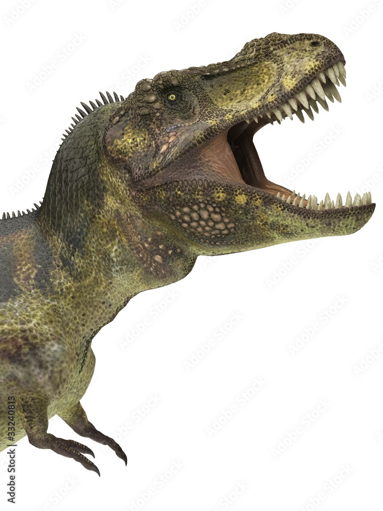 tyrannosaurus rex t-rex side view Stock Illustration | Adobe Stock