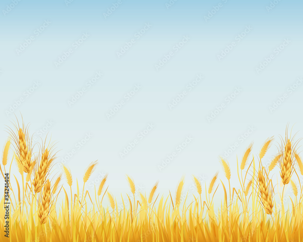 crop background Stock Vector | Adobe Stock