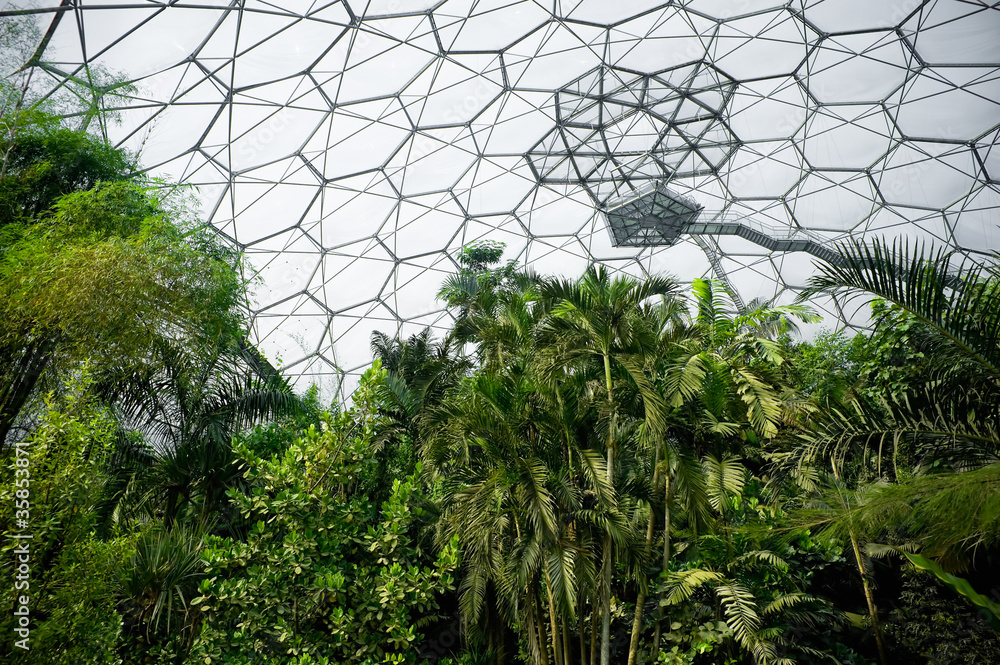 tropical rainforest vegetation inside a manmade bio-dome Stock Photo ...