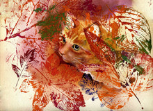 Watercolor Autumn Cat Free Stock Photo - Public Domain Pictures