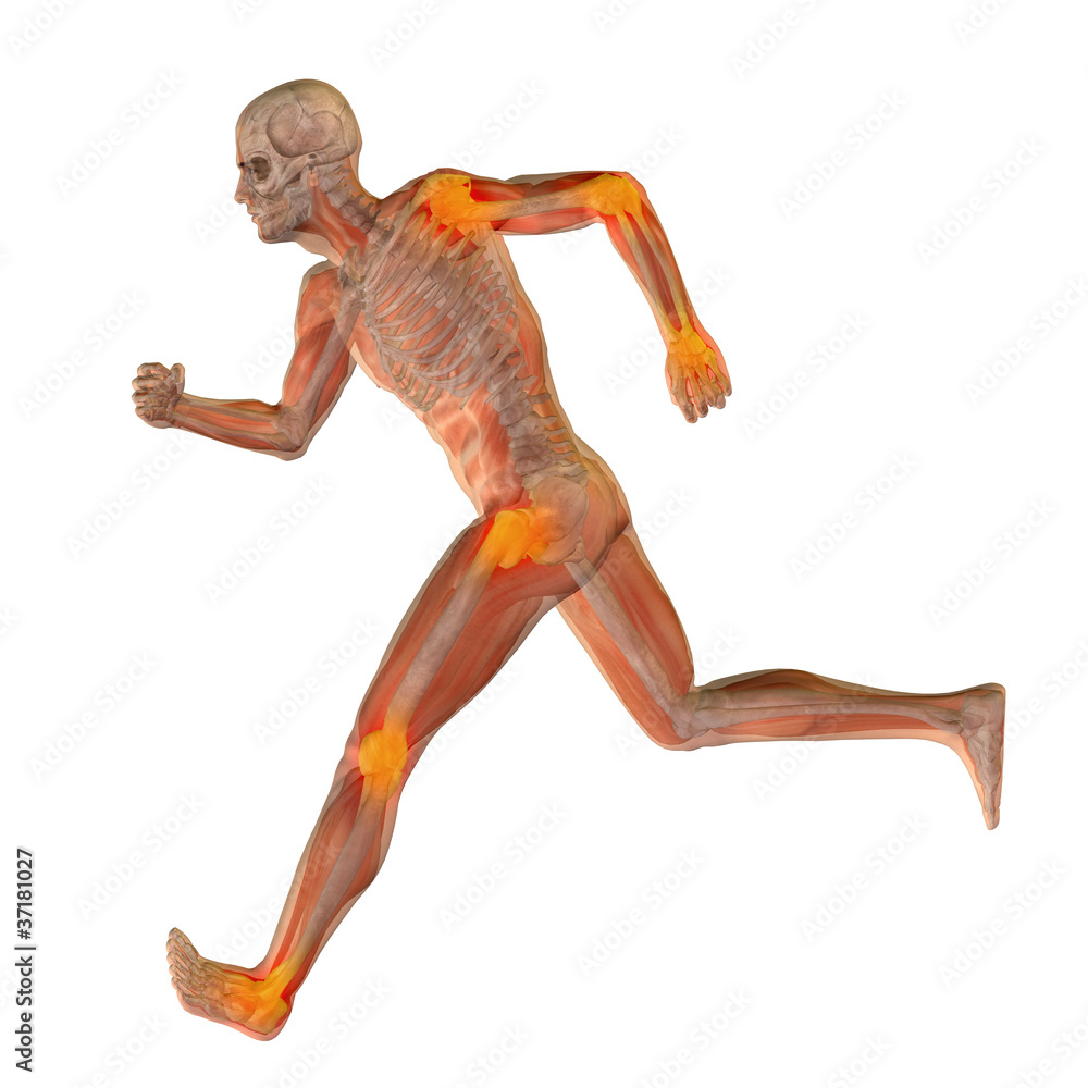 High resolution conceptual 3D human for anatomy Stock Illustration ...