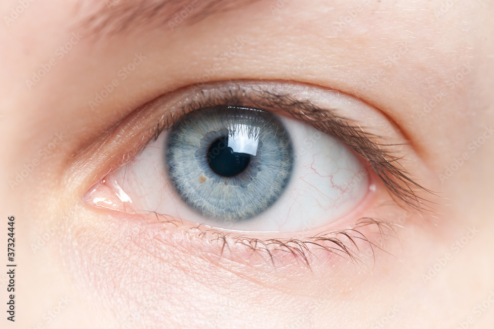 Human eye close-up Stock Photo | Adobe Stock