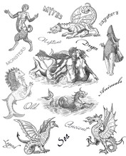 Dragons Mythical Creatures Vintage Art Free Stock Photo - Public Domain ...