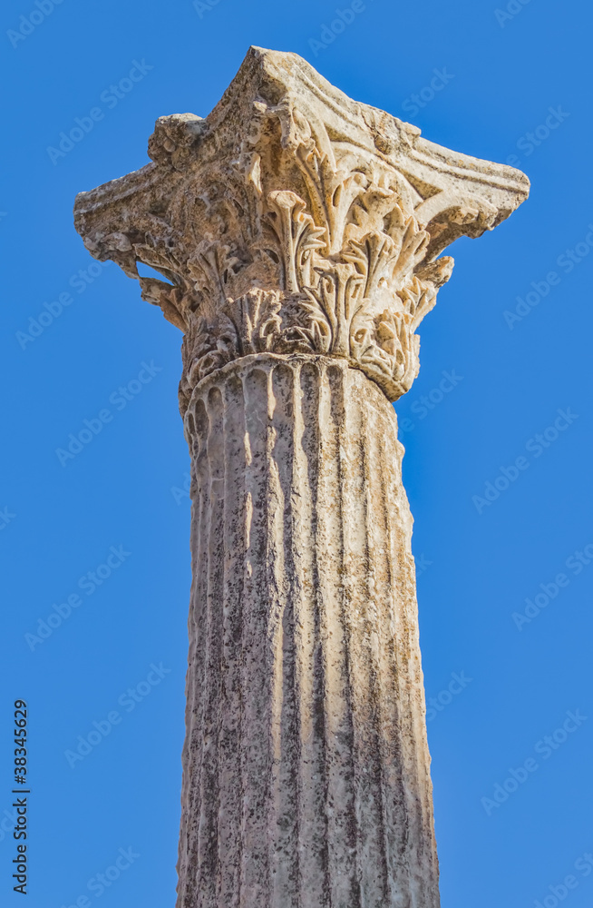 Corinthian column Stock Photo | Adobe Stock