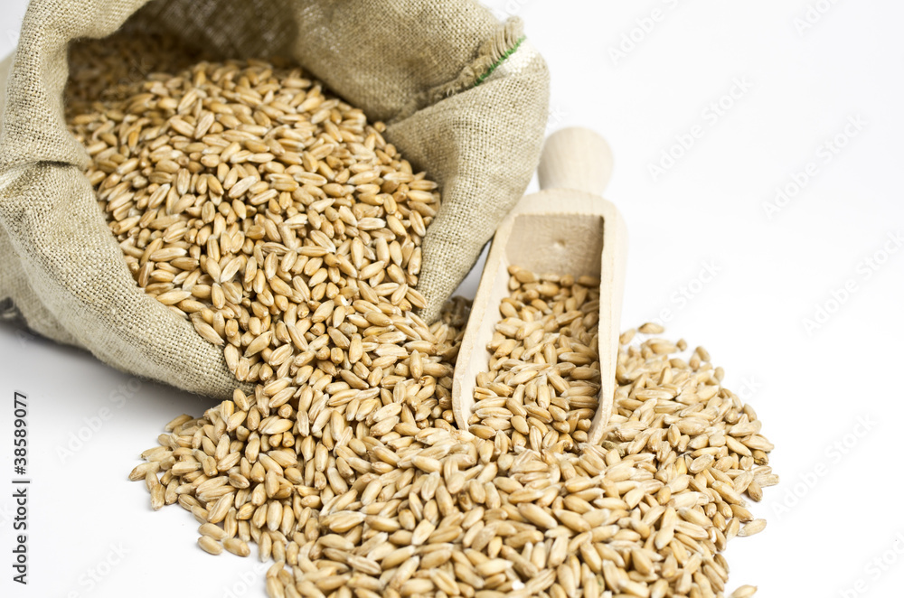 Stock-Foto „Sack mit Weizen“ | Adobe Stock