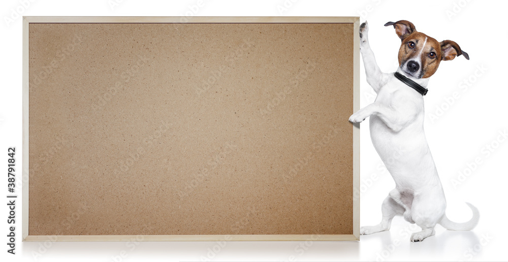 dog with cork banner horizontal Stock Photo | Adobe Stock