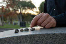 Grief At Cemetery Free Stock Photo - Public Domain Pictures