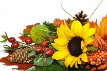 Sunflower Autumn Thanksgiving Day Free Stock Photo - Public Domain Pictures