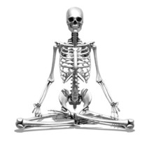 Meditating Halloween Skeleton Free Stock Photo - Public Domain Pictures