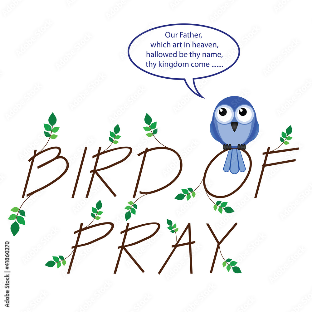 Vektor Comical take on bird of pray ve službě Stock | Adobe Stock