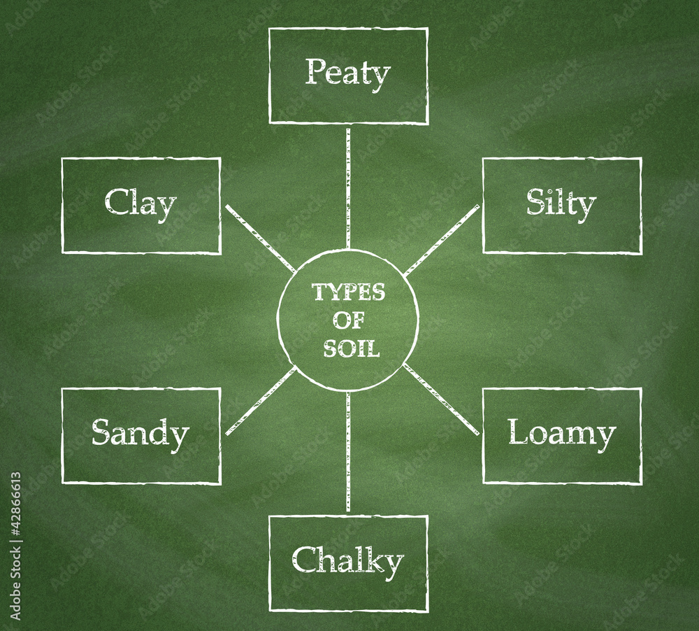 Types of soil diagram on chalkboard background. Stock Illustration ...